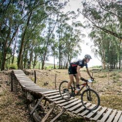 Mountain Bike Permit | Honeywood Farm Accommodation