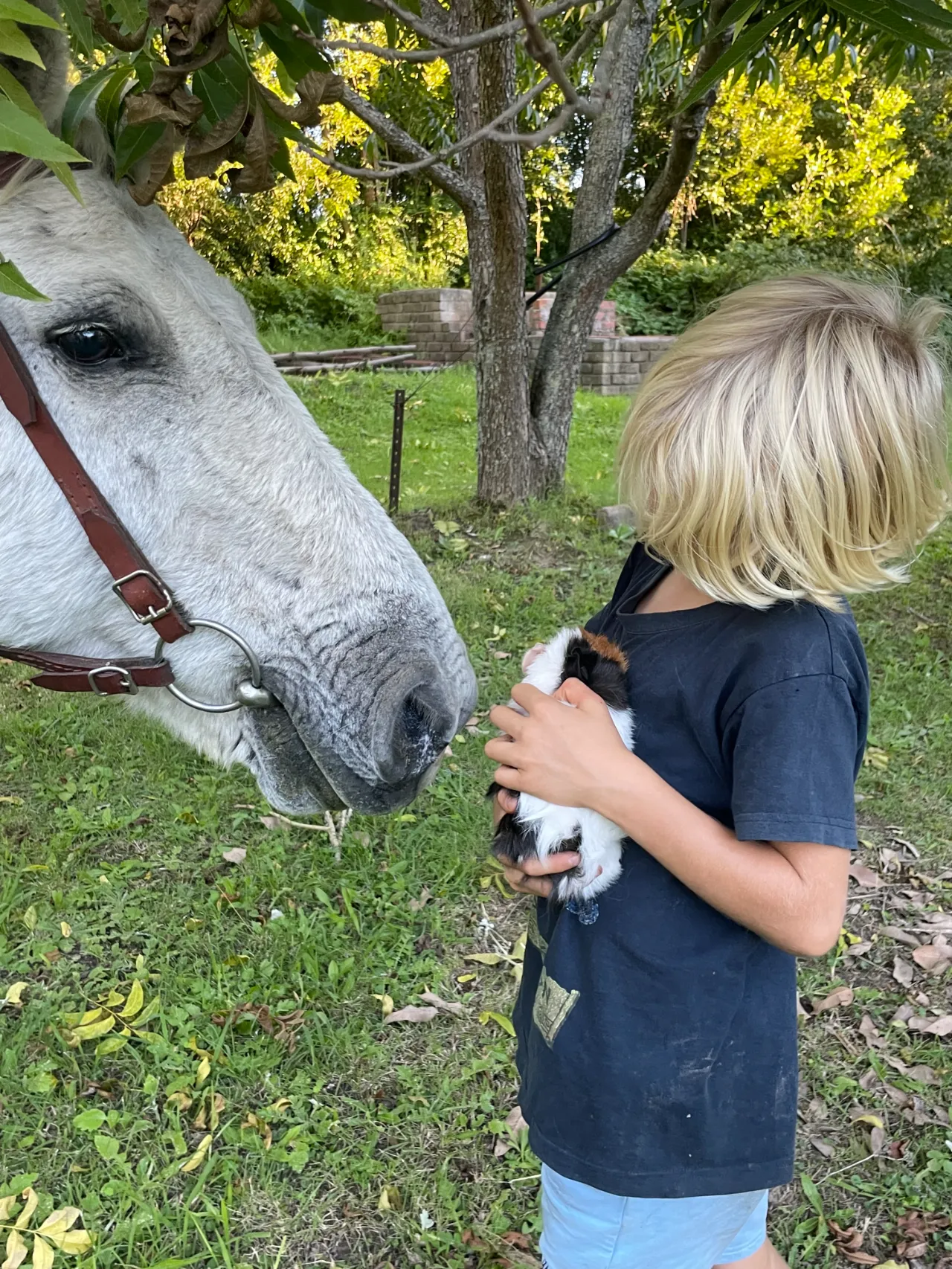 About Us, Our Story & Way Of Life | Honeywood Farm Accommodation